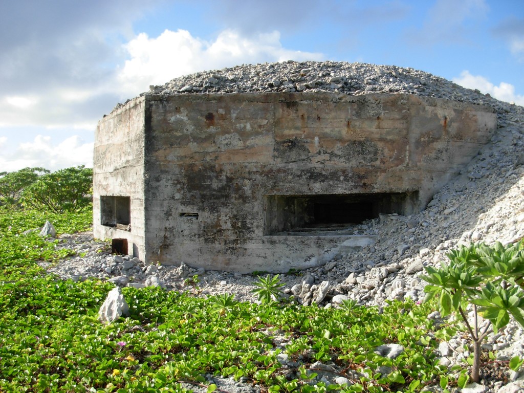 WWII Japanese pillbox | Bonita Gilbert