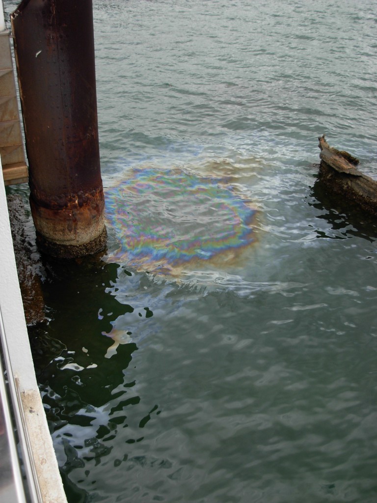 Oil seeping from USS Arizona | Bonita Gilbert