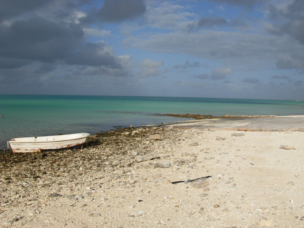 Wake Beaches | Bonita Gilbert